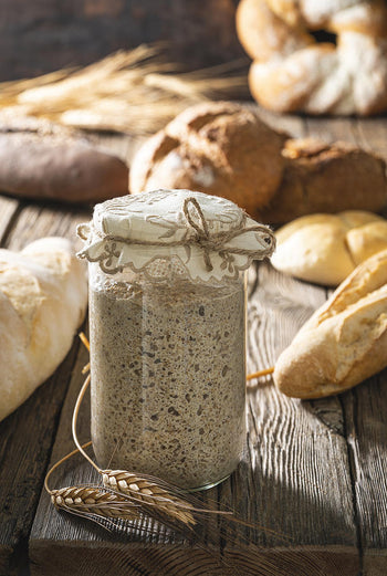 Cape Cod Sourdough Recipe – A Taste of Portuguese Tradition from Oak B ...